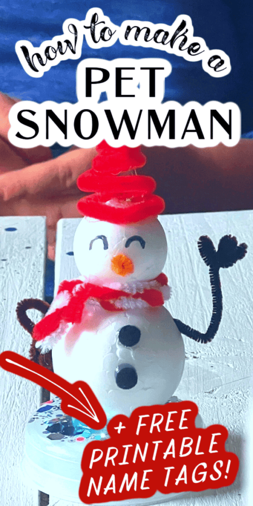 Pet Snowman Craft for Kids with Snowman Printable (Fun Ideas For Winter ...