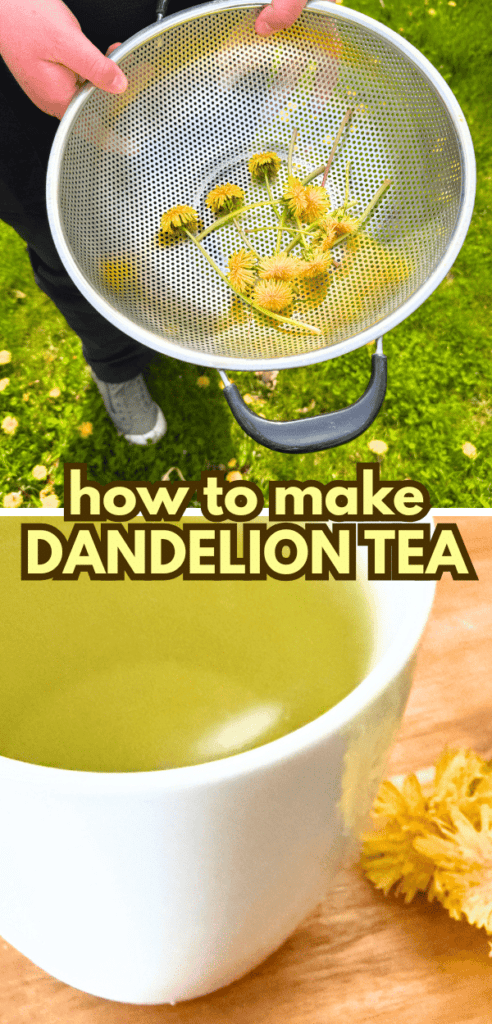 7 Dandelion Kids Activities That Blow Away Boredom!